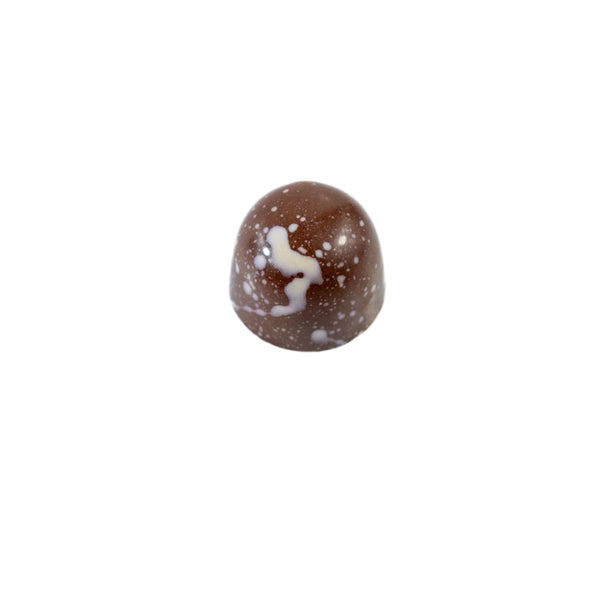 Chocolate Ganache Truffles Bon Bon Gift Box - Bixby Chocolate